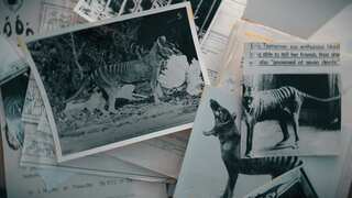 ‘Alone Australia’ cinematographer Tim Noonan on the hunt for the ...