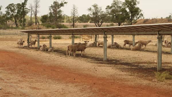 The promise and pain of Australia's solar transformation | SBS News