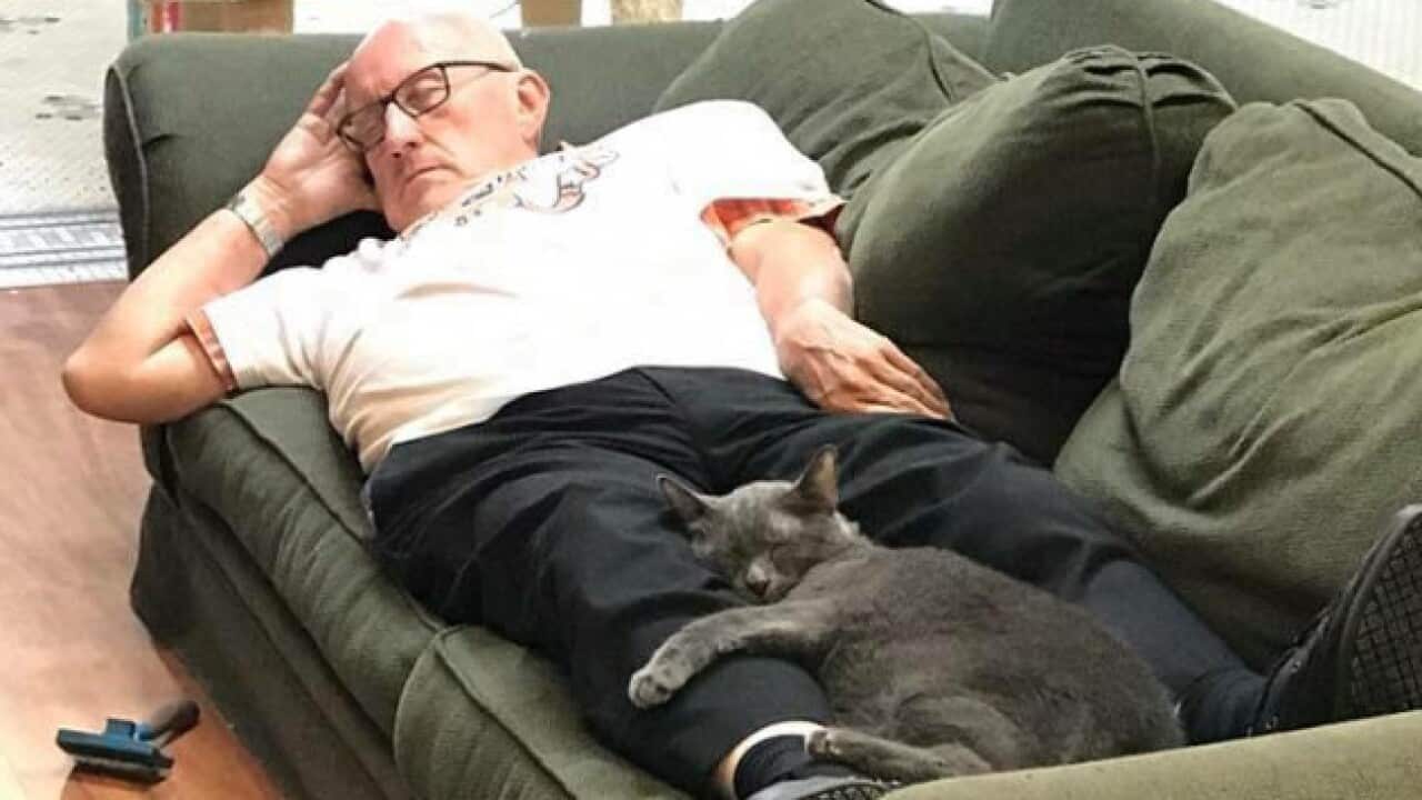 'Cat Grandpa': Animal shelter volunteer goes viral | SBS News