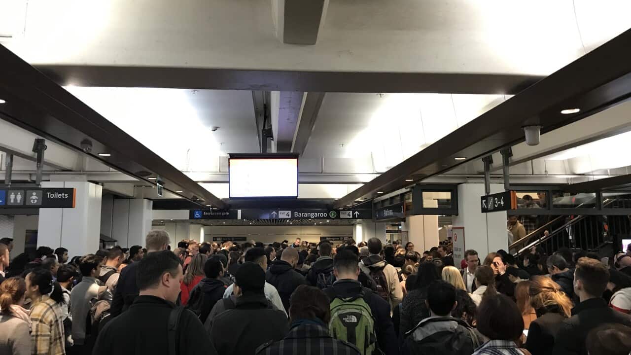 Commuter chaos after breakdown at Sydney's Town Hall station | SBS Korean