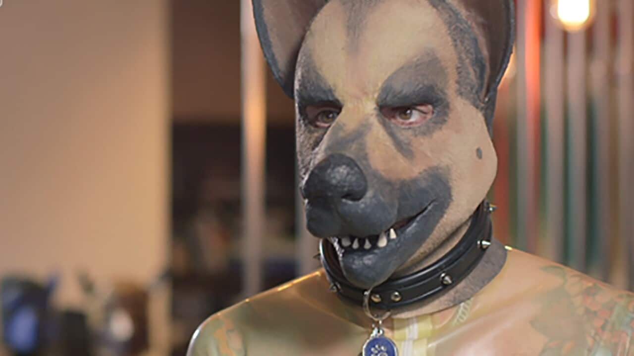 'We all have animalistic passions': inside the world of human pups ...