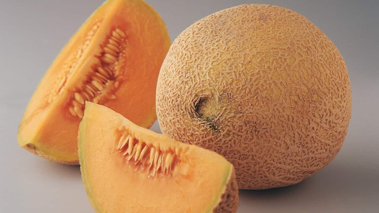 Rockmelon crisis talks after listeria outbreak | SBS News