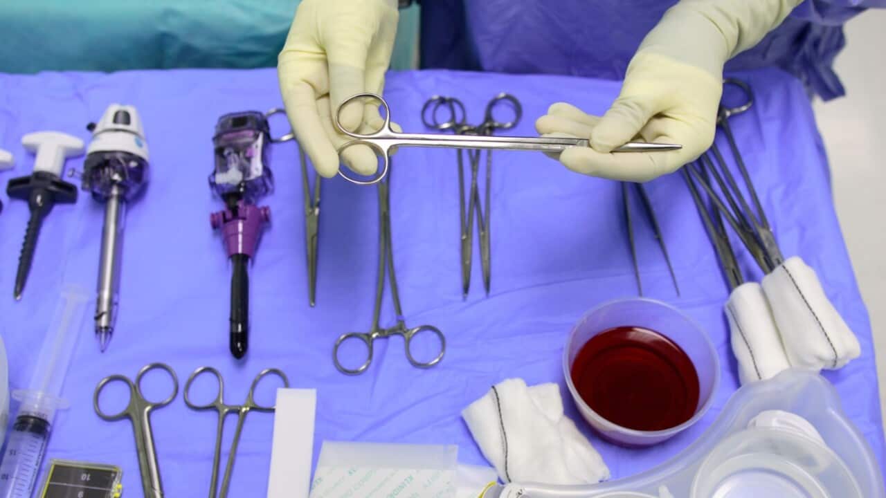 UK surgeon admits branding patient livers with initials | SBS News