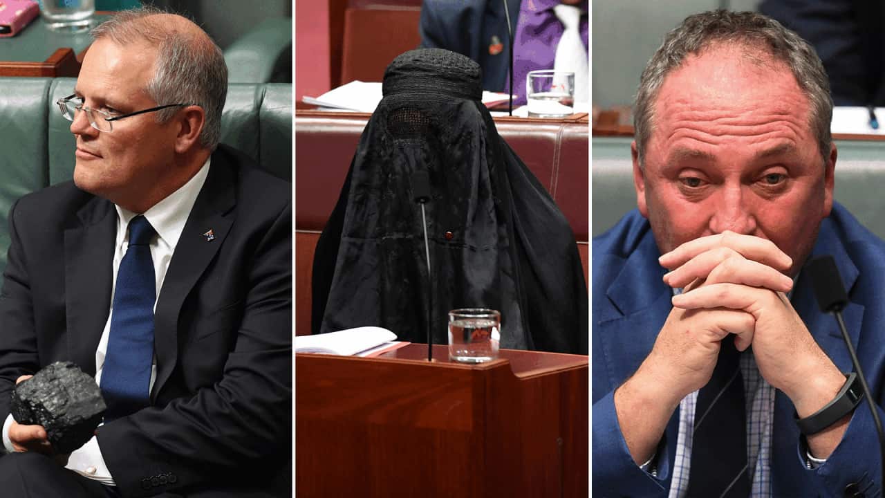 Goodbye 45th parliament, you were strange | SBS News
