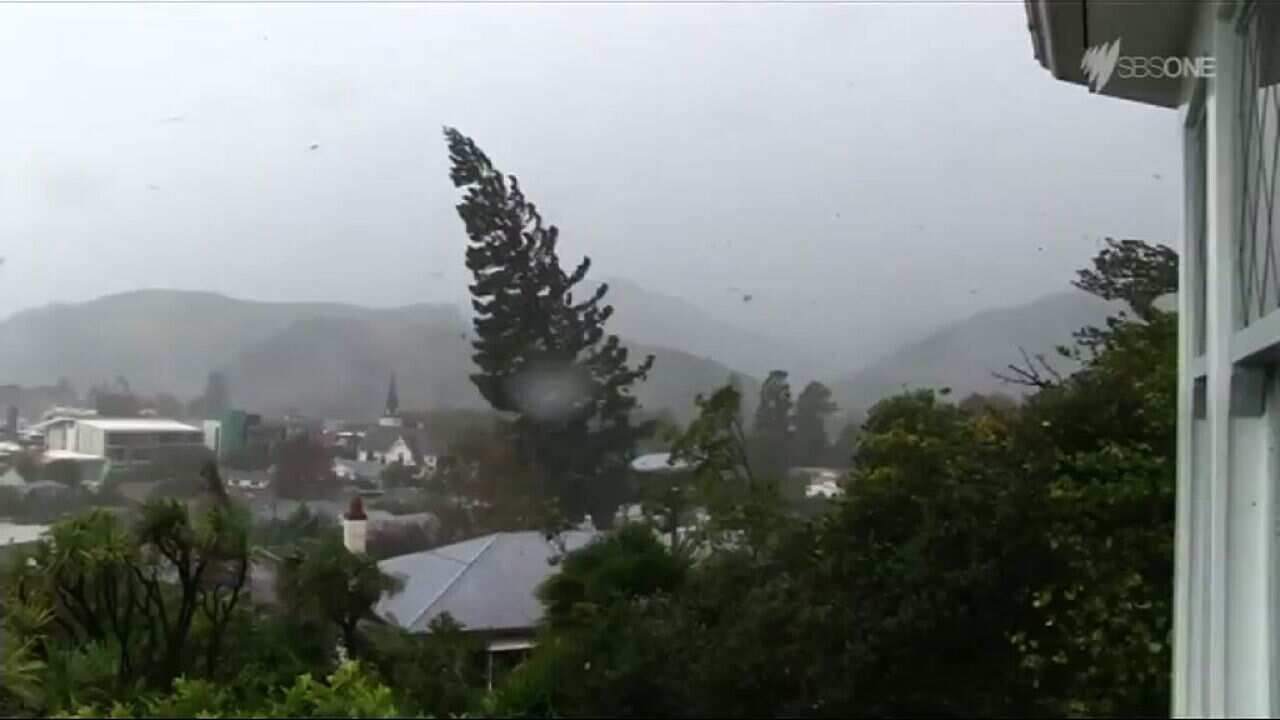 Cyclone Ita causes havoc along NZ's West Coast | SBS News