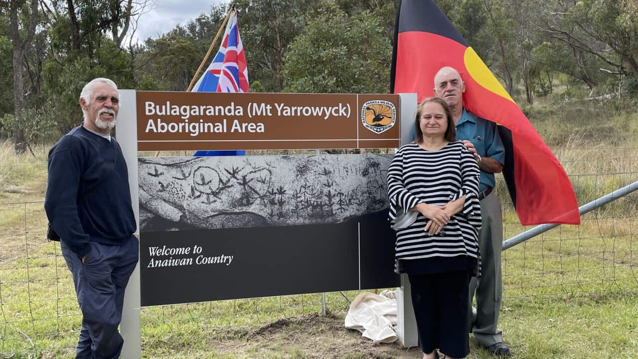 Historic partnership finalised on Anaiwan Country | SBS NITV