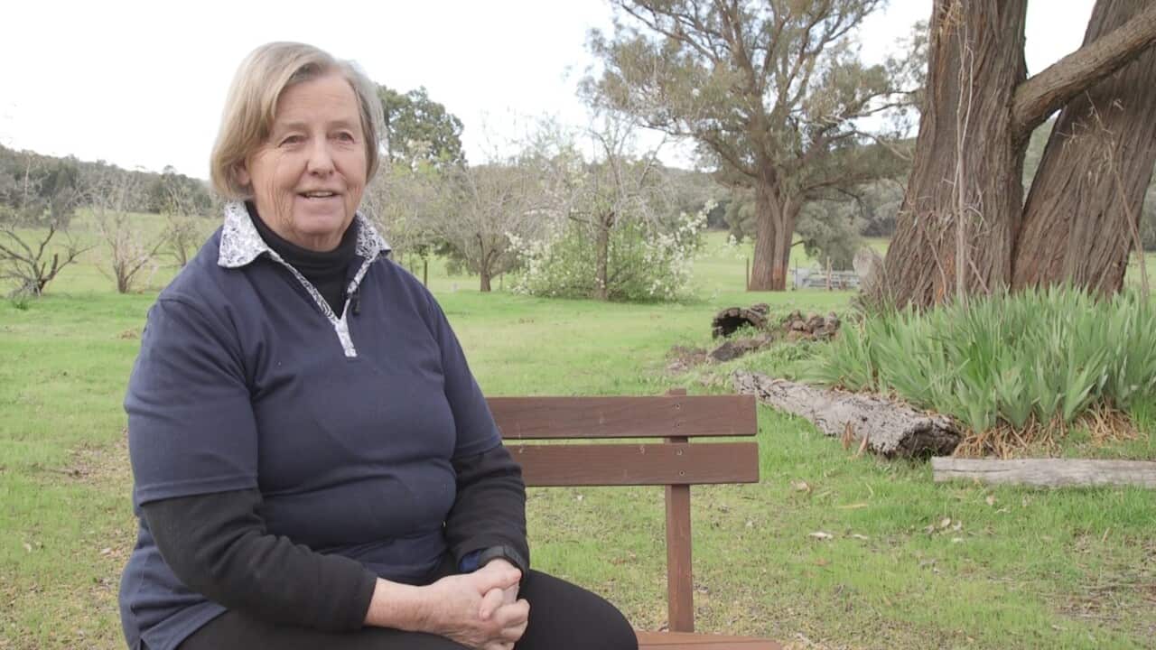 Sending trout via snail mail | SBS Small Business Secrets