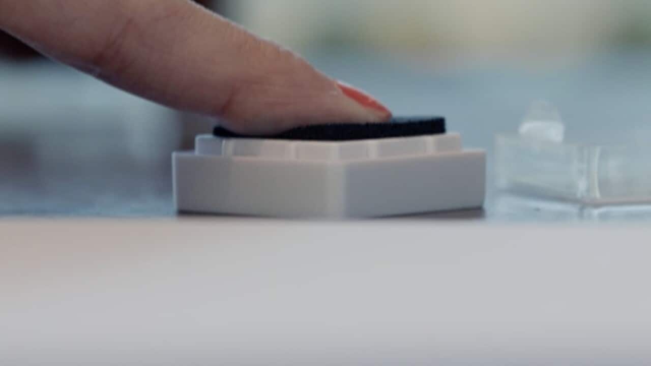 What happens when you’re born without fingerprints? | SBS What's On