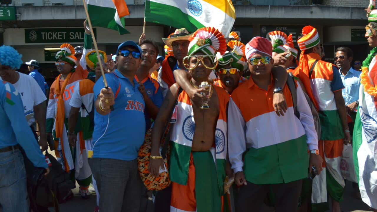 Swamy Army out in force as India takes on Australia at World Cricket ...