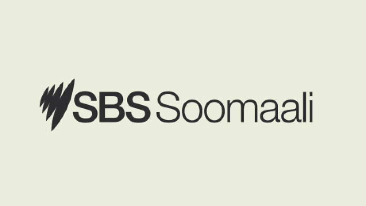 SBS News Somali: Warka Af-Soomaaliga ee Arbaco 20 May 2026 | SBS Somali
