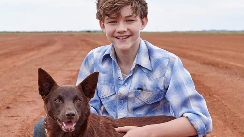 Red Dog: True Blue review: Origin story delivers the warm and furries ...