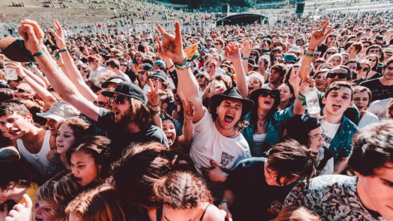 Splendour line up: Diversity moves slowly | SBS The Feed