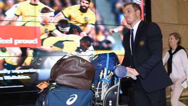 Wallabies return home defiant after World Cup loss | SBS News