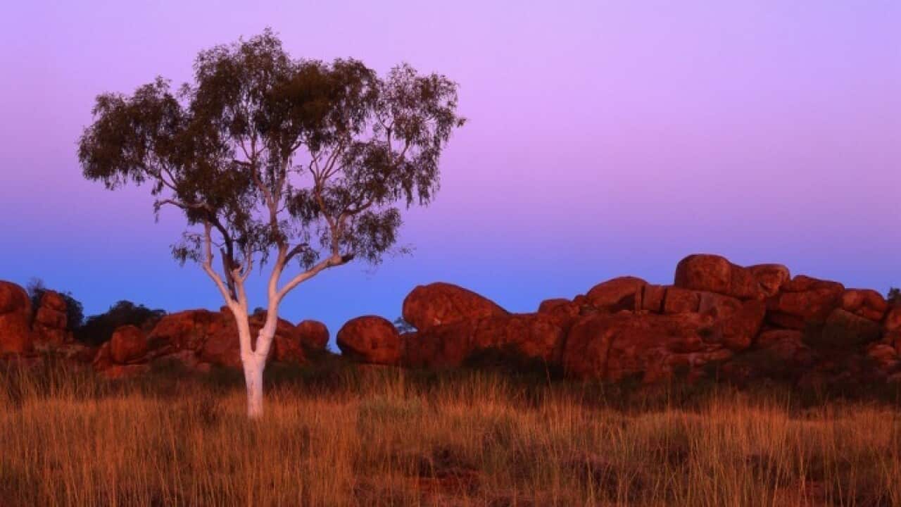 Songlines - What they are and how they guide us across Australia | SBS ...