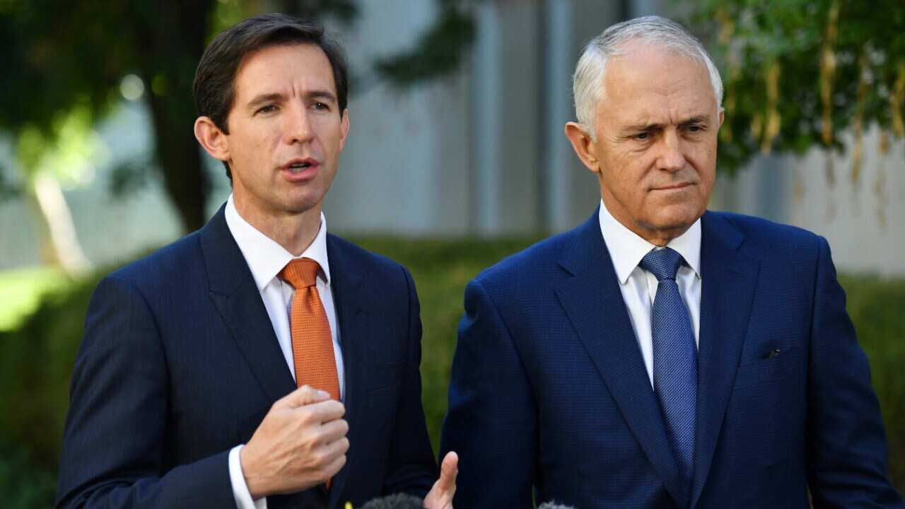 What is the Gonski 2.0 plan for schools funding? | SBS News