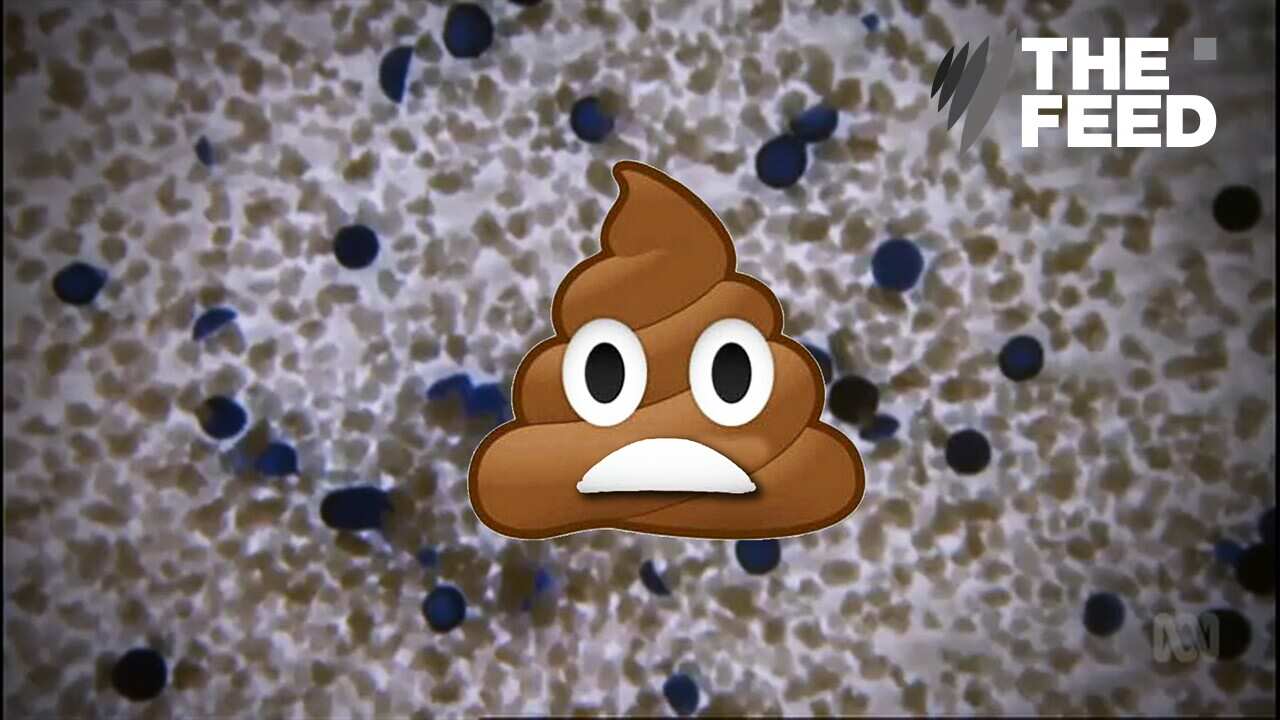 Microplastics have now been found in human poop. This is not good ...