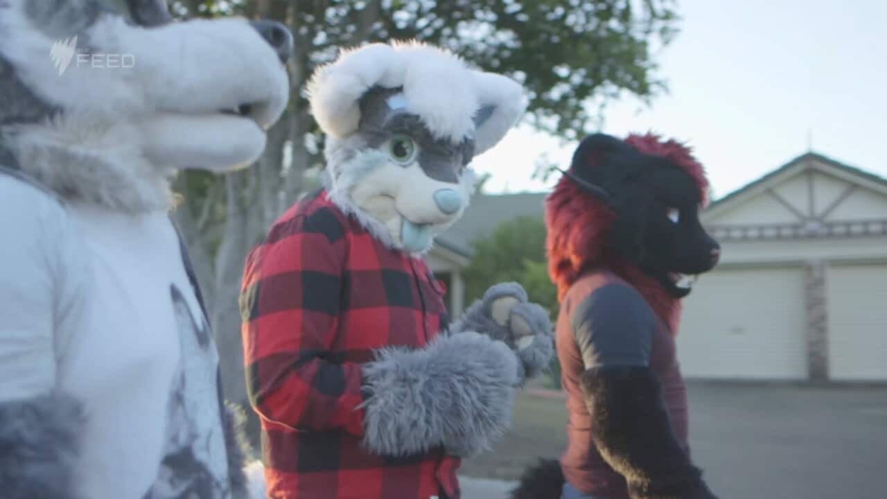 "It's just a group of people enjoying life": The culture of furries ...