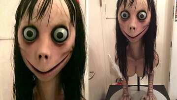 What is Momo? The disturbing new WhatsApp 'game' | SBS News