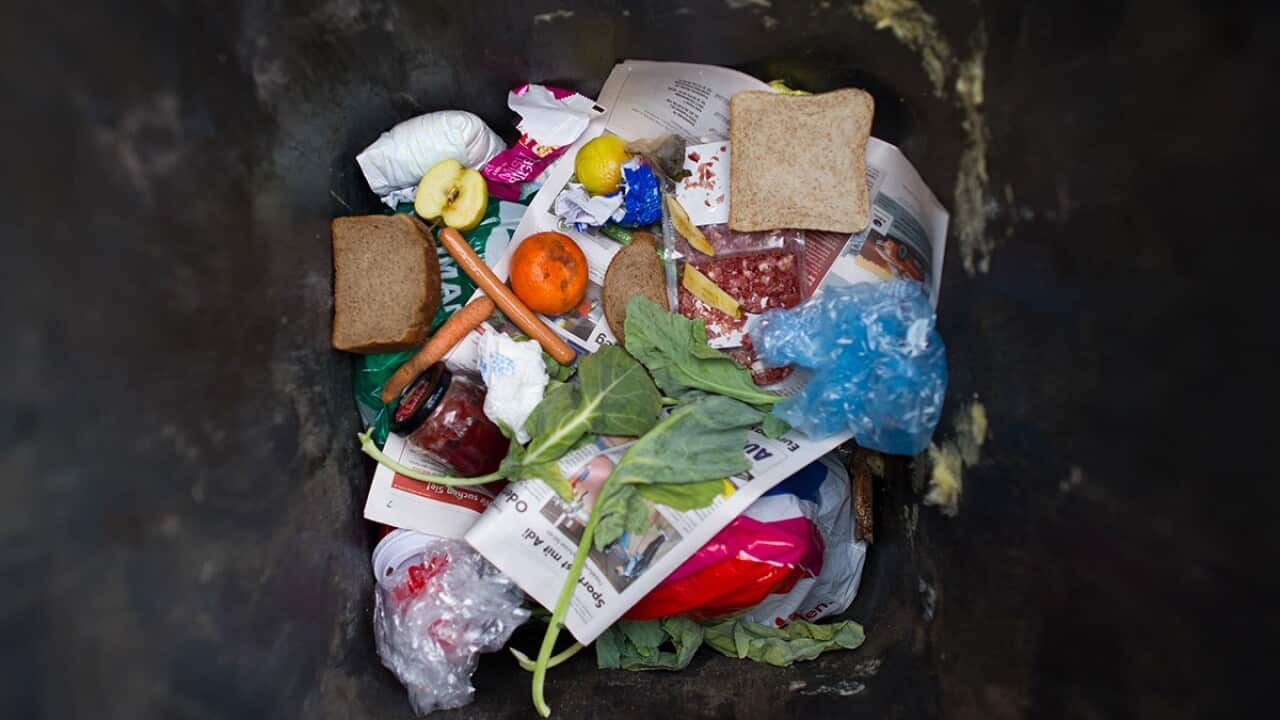 How much food are we actually wasting — and what can we do about it ...