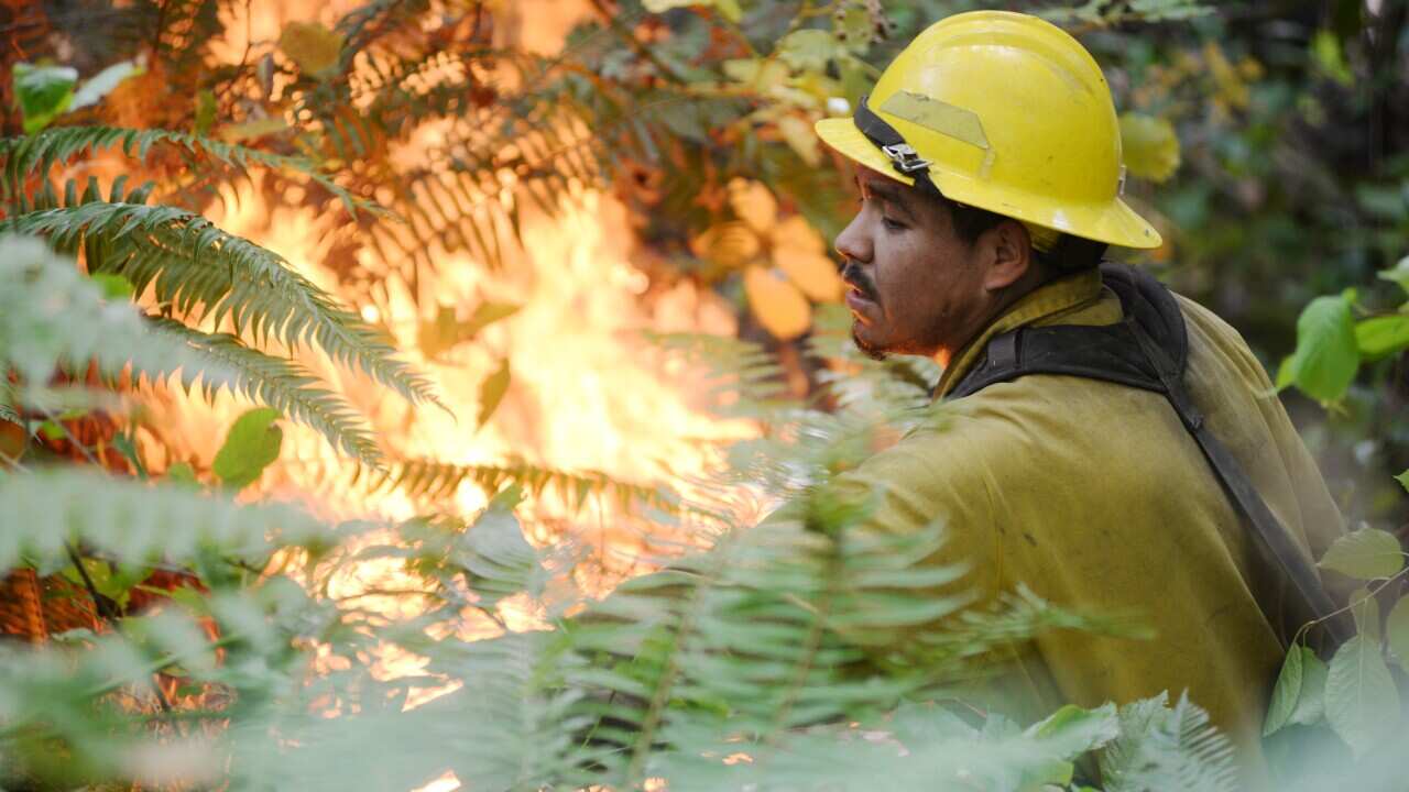 California’s bushfires rival Australia’s. They’re turning to Indigenous ...