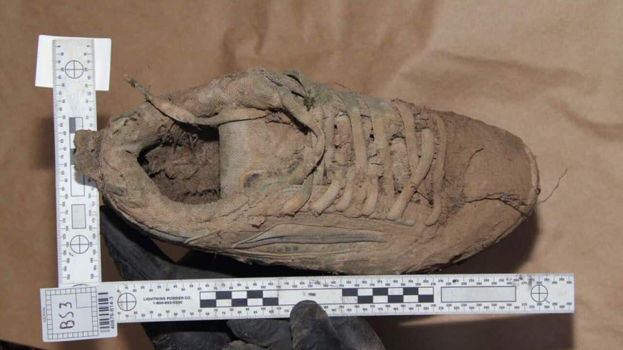 Court hears of search for Daniel's bones | SBS News