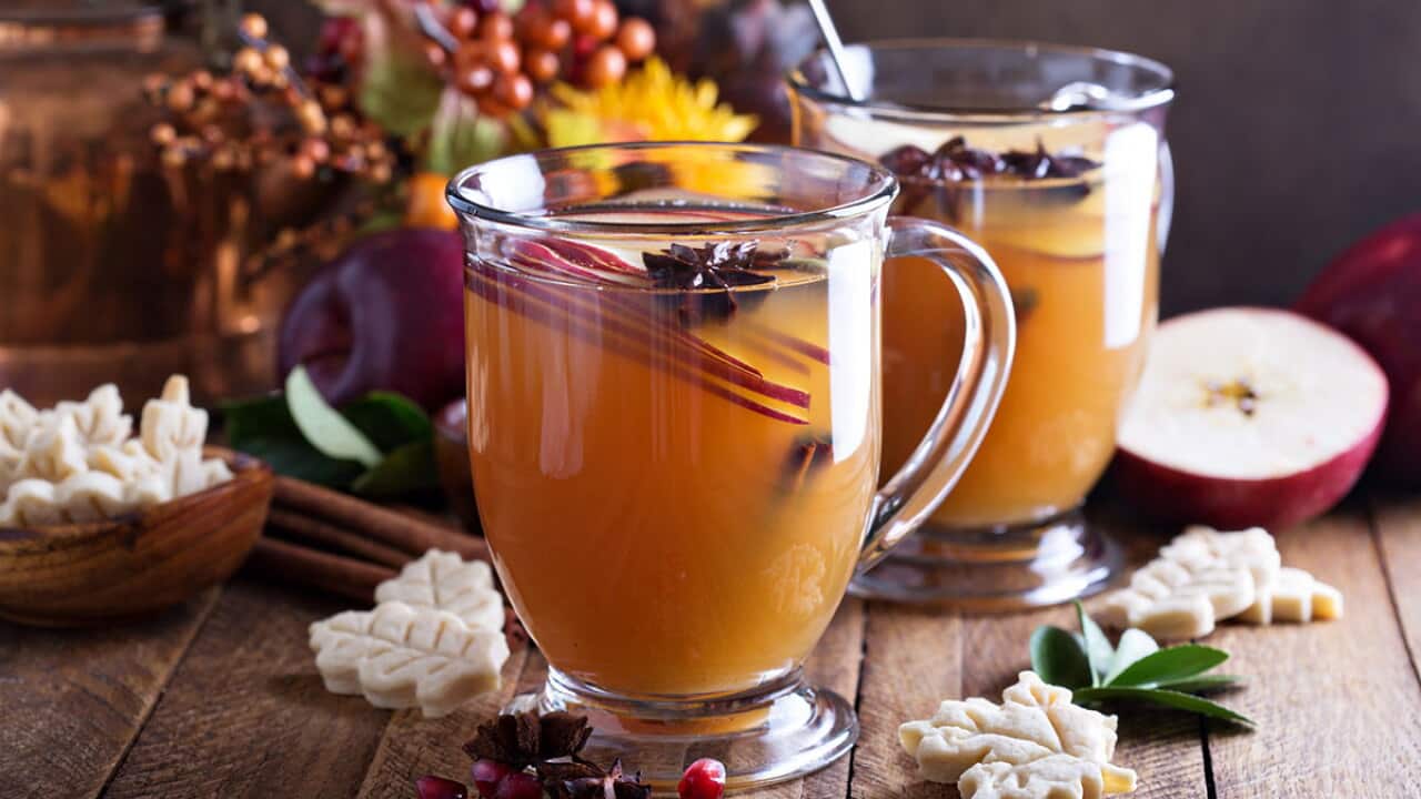 How to brew your own batch of cider at home | SBS Food