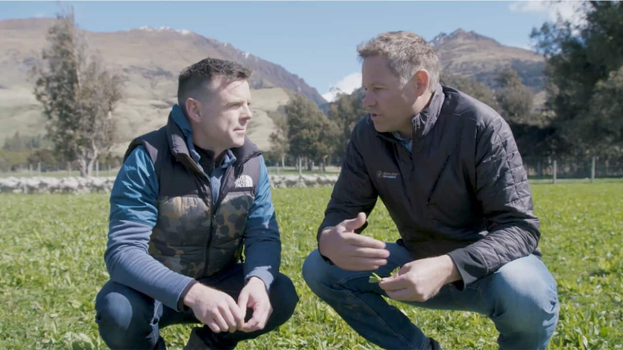 Chef Ben Bayly is on a journey to discover the New Zealand Food Story ...