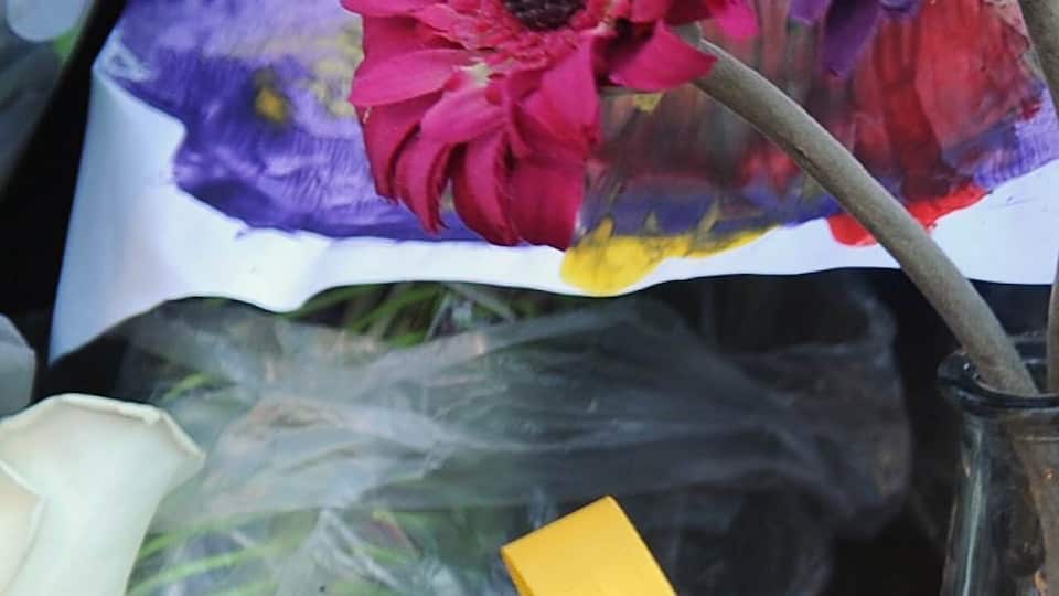 Walker died of traumatic injuries: coroner | SBS News