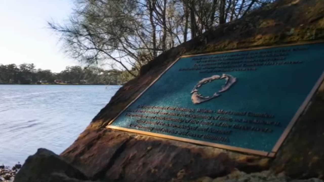 Proving a massacre: Birpai people continue 200 year battle | SBS The Point
