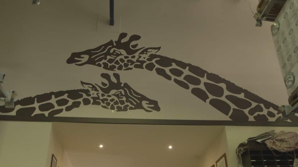 A tale of two cities - and one giraffe | SBS Small Business Secrets