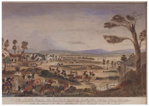 The strategies and weapons Indigenous people used in the face of ...