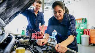 What is TAFE? | SBS English
